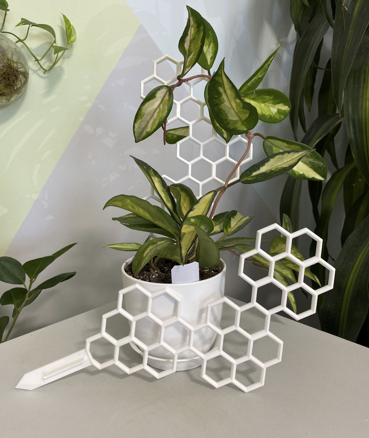 Trellises – OrchidBox