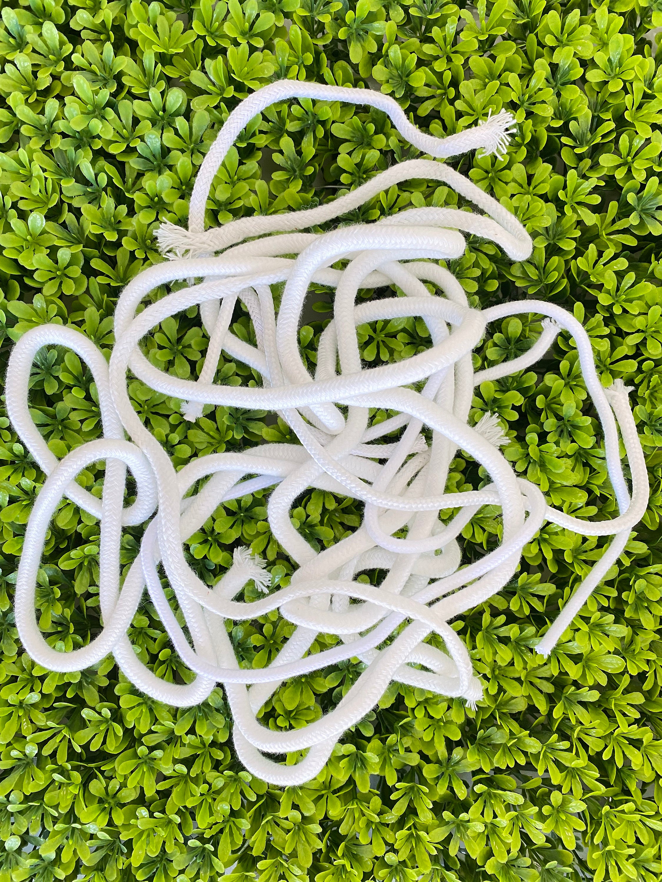 Watering Wick, 10ft for Plant Moss Poles 1/4" diameter - 1 Pack – OrchidBox